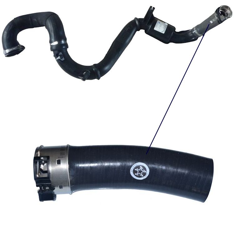 Turbo hose 144602126R,4419135,93861970,93857913,4416867,93862449 ...